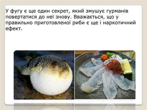 Риба фугу матеріал презентації