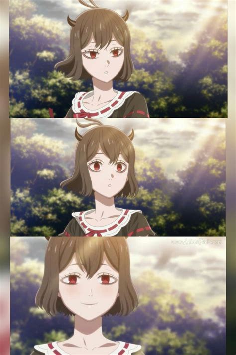 Secre Swallowtail Wallpapers Wallpaper Cave