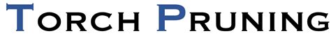 torch pruning·pypi