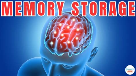 Memory Storage Brain
