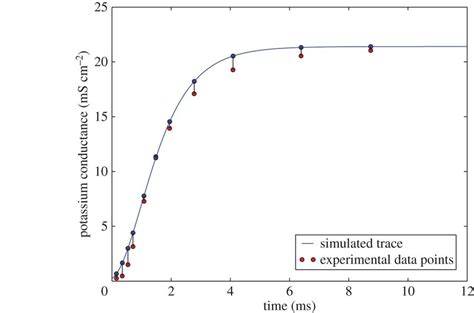 Representation Of Distance Calculation For Potassium Conductance Download Scientific Diagram