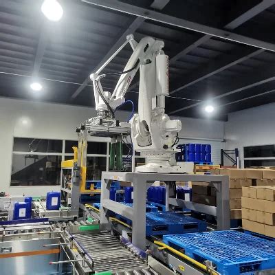Company Overview Senad Robot Shanghai Co Ltd