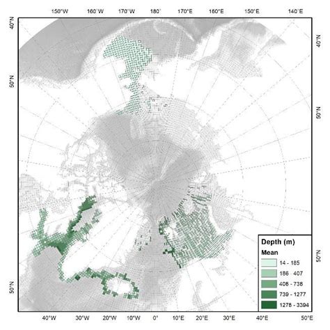 Mean Left And Standard Deviation Right Of Bottom Depth At The