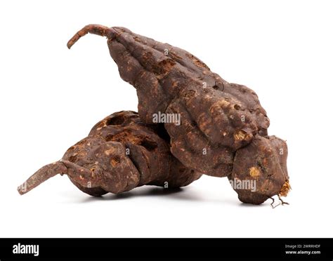 The Chinese Medicine Polygonum Multiflorum On White Background Stock