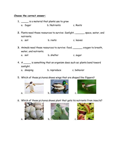 Sciencesaurus Weather And Climate Part One Worksheets Library