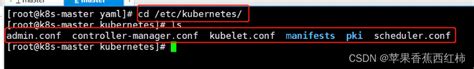 十 kubernetes 核心配置文件与kubelet命令 kubelet 配置文件 csdn博客
