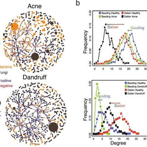 Spiec Easi Cross Domain Correlation Network Analysis Of The Skin Download Scientific Diagram