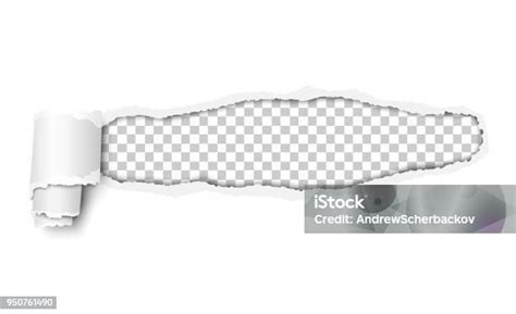 찢어진된 가장자리와 종이 컬 흰 종이의 조각에 납치 벡터 창 결과 창 투명 이며 텍스트 복사 또는 광고 공간을 있다 서식 파일 종이 디자인 0명에 대한 스톡 벡터 아트 및