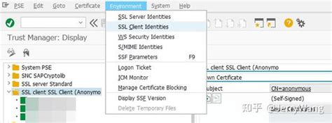 关于 SAP ABAP CL CLIENT API 中的 SSL ID 参数 知乎