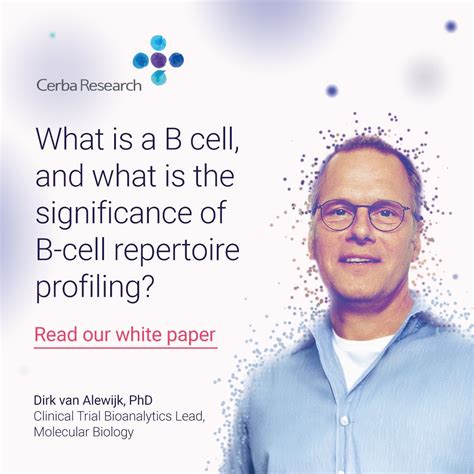 What Is A B Cell And What Is The Significance Of B Cell Repertoire