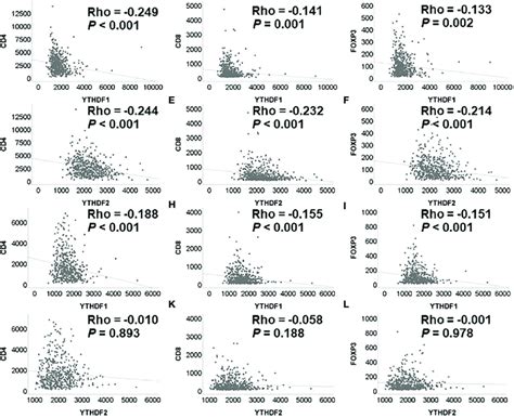 Correlation Among Ythdf1 Ythdf2 Cd4 Cd8 And Foxp3 Analyzed By Mrna Download Scientific
