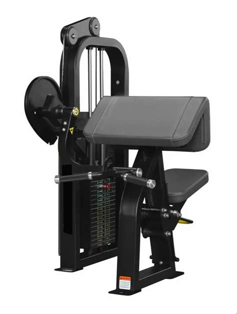 Bicep Curl Machine 175 Kg At ₹ 39999 In Meerut Id 2854697870712