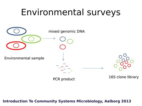 amplicon sequencing introduction pdf biological sciences science