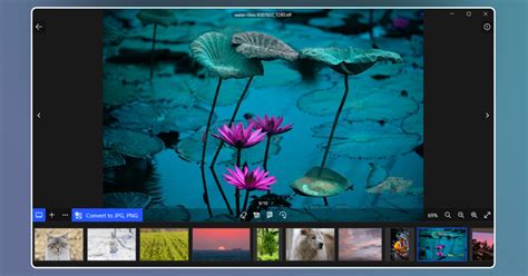 TIFF Viewer TIFF Viewer TIFF To