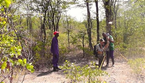 Estimating Forest Attributes At Lower Costs Is Enhanced By Using Integrated Models