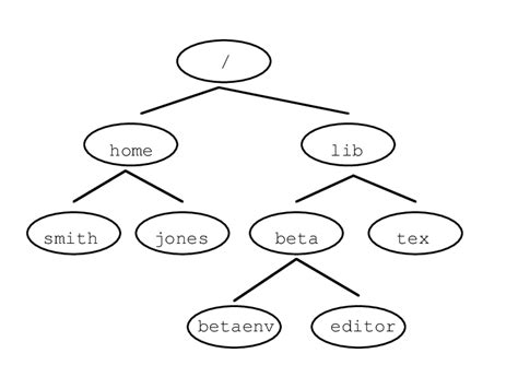 2 hierarchical directory structure download scientific diagram
