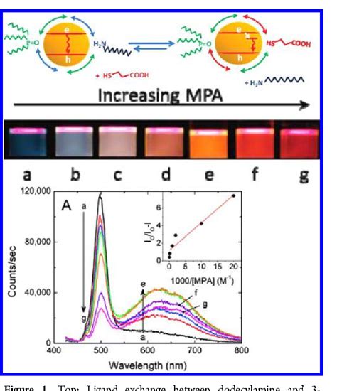 Figure 1 From Recent Advances In Quantum Dot Surface Chemistry