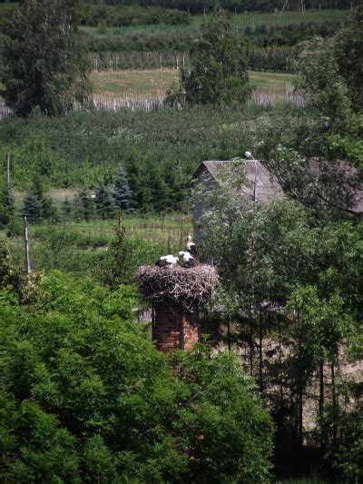 Explore Learn Tumbex