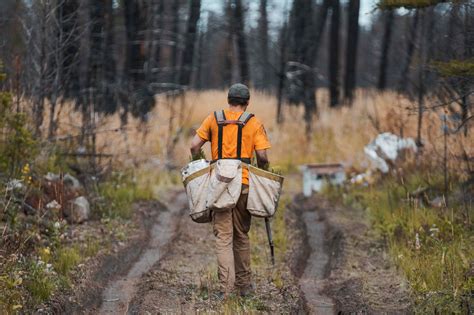How Your Business Can Help Wildfire Restoration One Tree Planted
