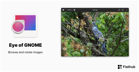 Install Eye Of Gnome On Linux Flathub