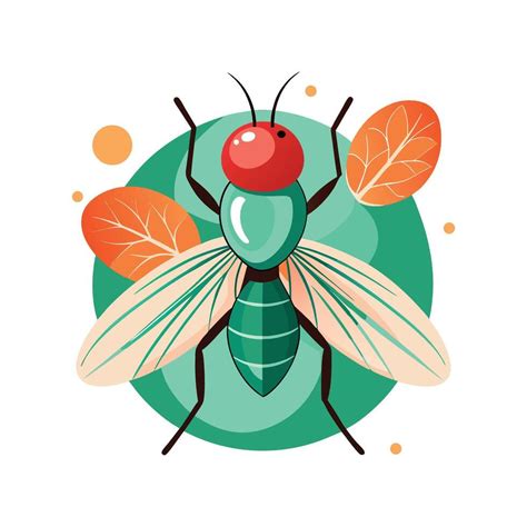 Beautiful Fruit Flies Design 59078988 Vector Art At Vecteezy