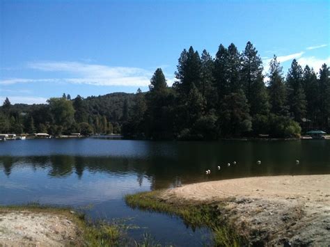 Lake Wildwood Ca From The Shore Of Lake Wildwood Photo Picture