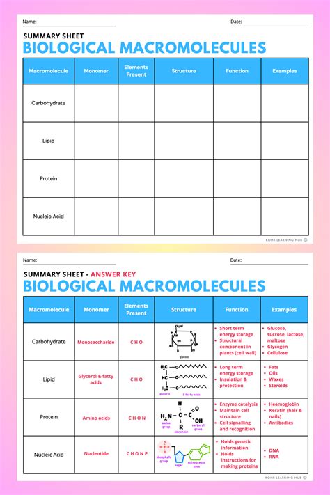 Biological Macromolecules Biology Revision Notes