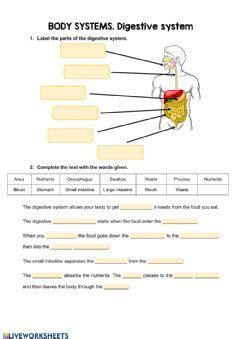 Digestive system interactive worksheet for º primaria Artofit