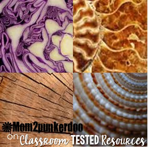 Using Patterns To Increase Inquiry Classroom Tested Resources