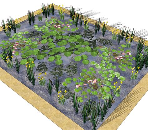 莲花池sketchup模型，水生花卉景观植物skp文件下载 植物花草植物模型su模型 Su模型库 Sketchup网