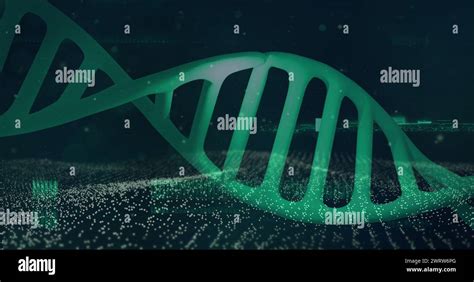 Dna Structure Spinning Against Digital Wave On Blue Background Stock