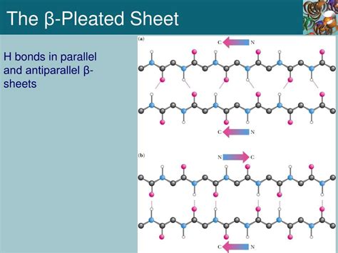 Ppt Chapter 6 Proteins Secondary Tertiary And Quaternary Structure