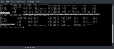 Dual Boot Windows And Linux Boot Manager Problems Efi Grub Fos