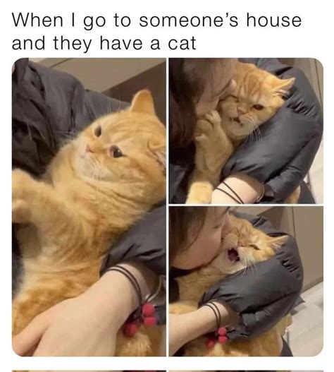 First World Problems Meme Dawson