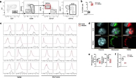 Dichotomous Metabolic Networks Govern Human Ilc2 Proliferation And