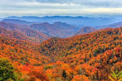 Experience The Great Smoky Mountains In Fall Koa Camping Blog