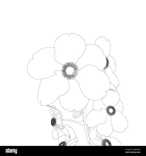 Outline Flowers Decoration On White Background Black Contour Of