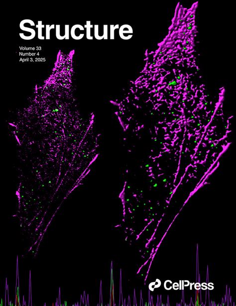 Lysozyme Revisited Structure