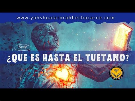 ¿qué Es El Tuetano En La Biblia Significado Y Referencias Clave Nuestra Fé Nuestra Religión