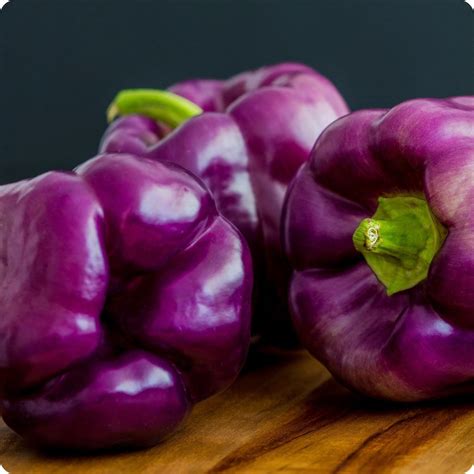 Lavender Bell Peppers
