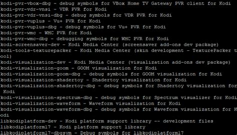 Raspberry Pi Media Center How To Install Kodi On Raspbian