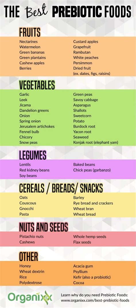 The Best Prebiotic Foods And Why You Need Them Artofit