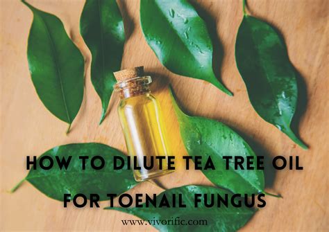 How To Dilute Tea Tree Oil For Toenail Fungus