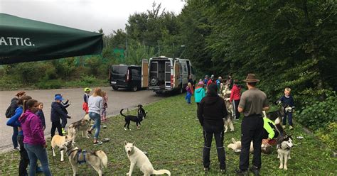 Stroheim Oberösterreich Startseite Unser Stroheim Fotogalerie