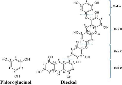 Chemical Structures Of Phloroglucinol And Dieckol Download Scientific Diagram