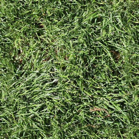 Photo Realistic Texture Of Green Grass In High Resolution Stock Image