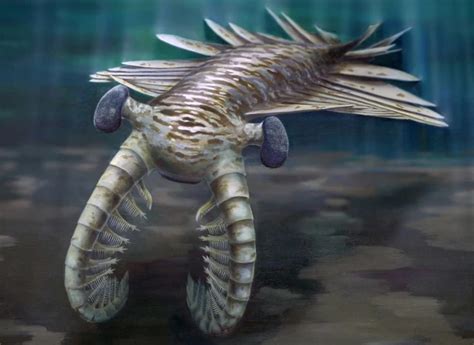 May As Well Jump The Gun And Suggest Additional Fossils Now