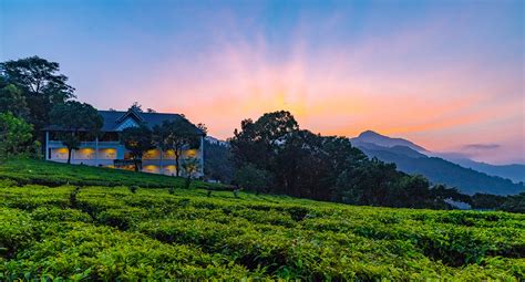 Tea Harvester Resort Munnar