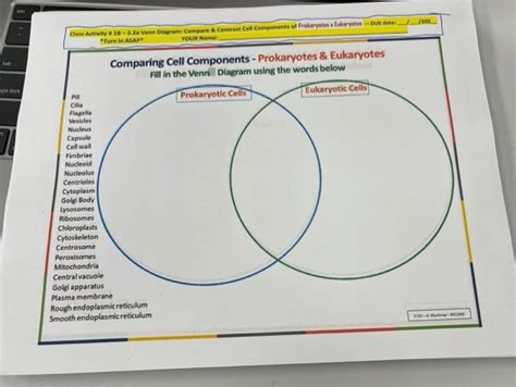 Prokaryotic And Eukaryotic Cells Venn Diagram