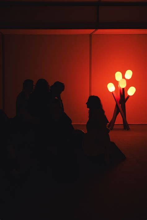 Matter And Shape A Night With Shasha Movies